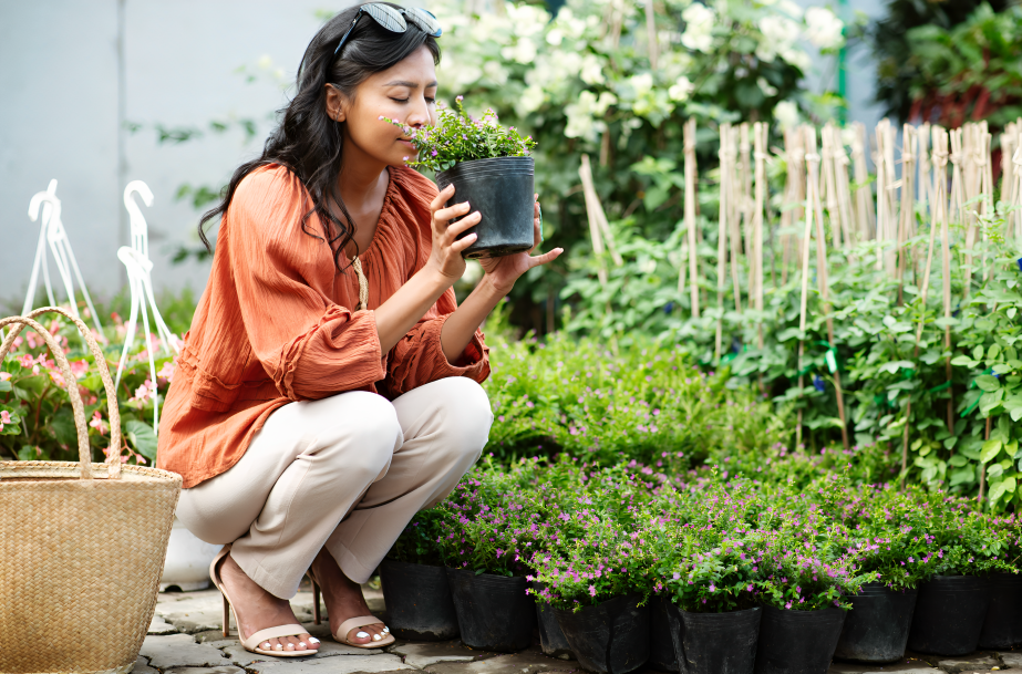 How to Keep Your Plants Alive While On Vacation – Blume Planters