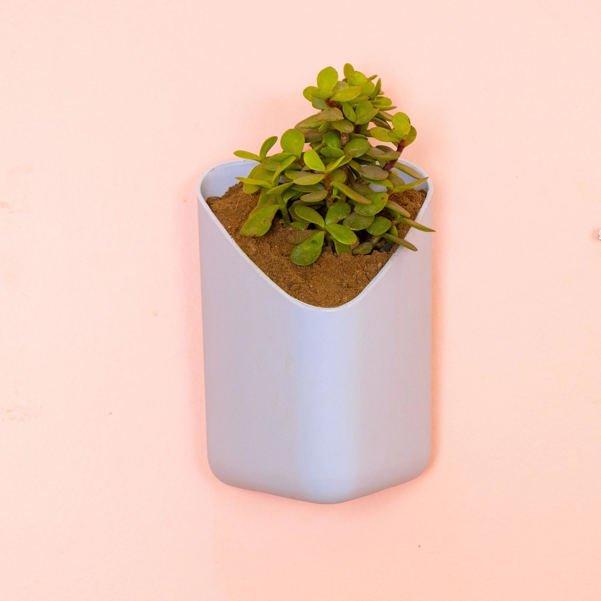 Prism – Blume Planters