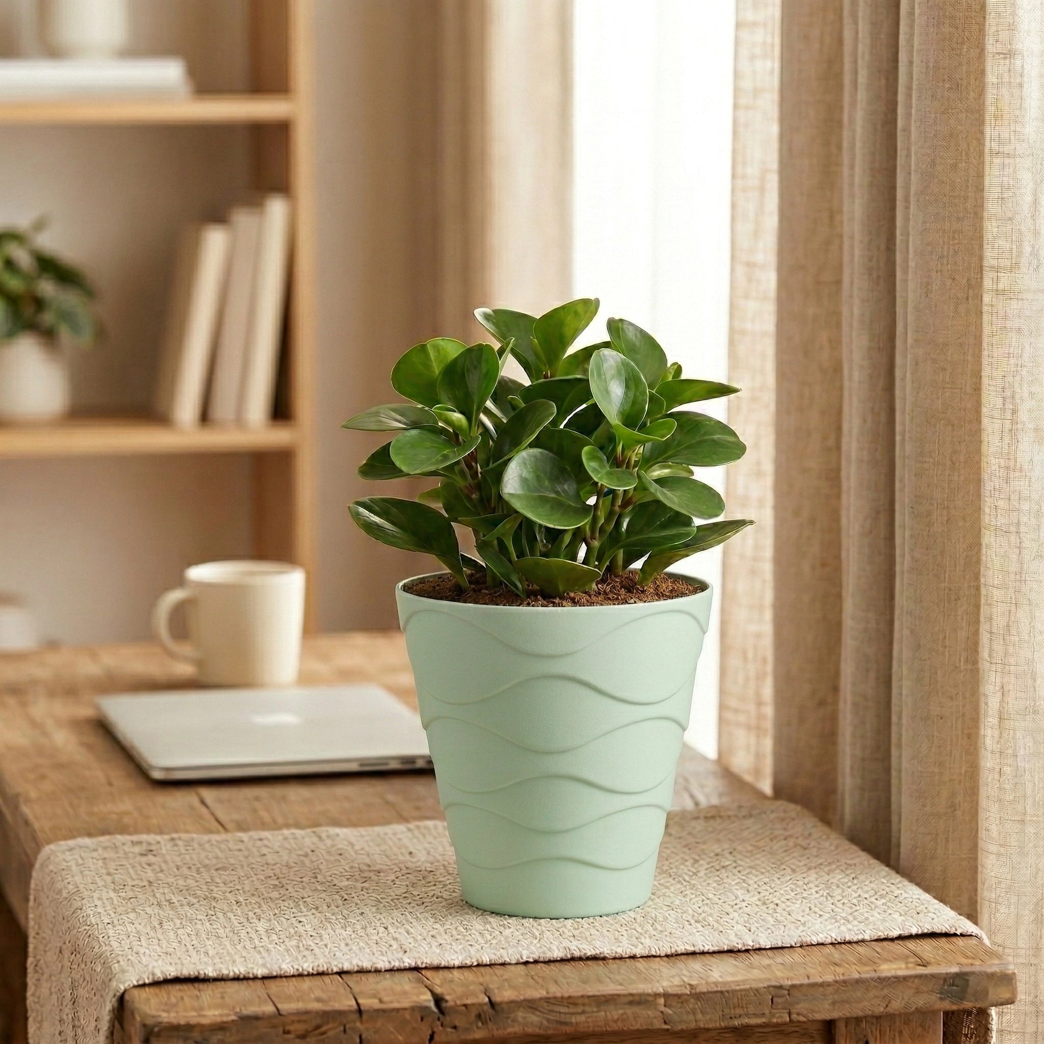 Swirl – Blume Planters