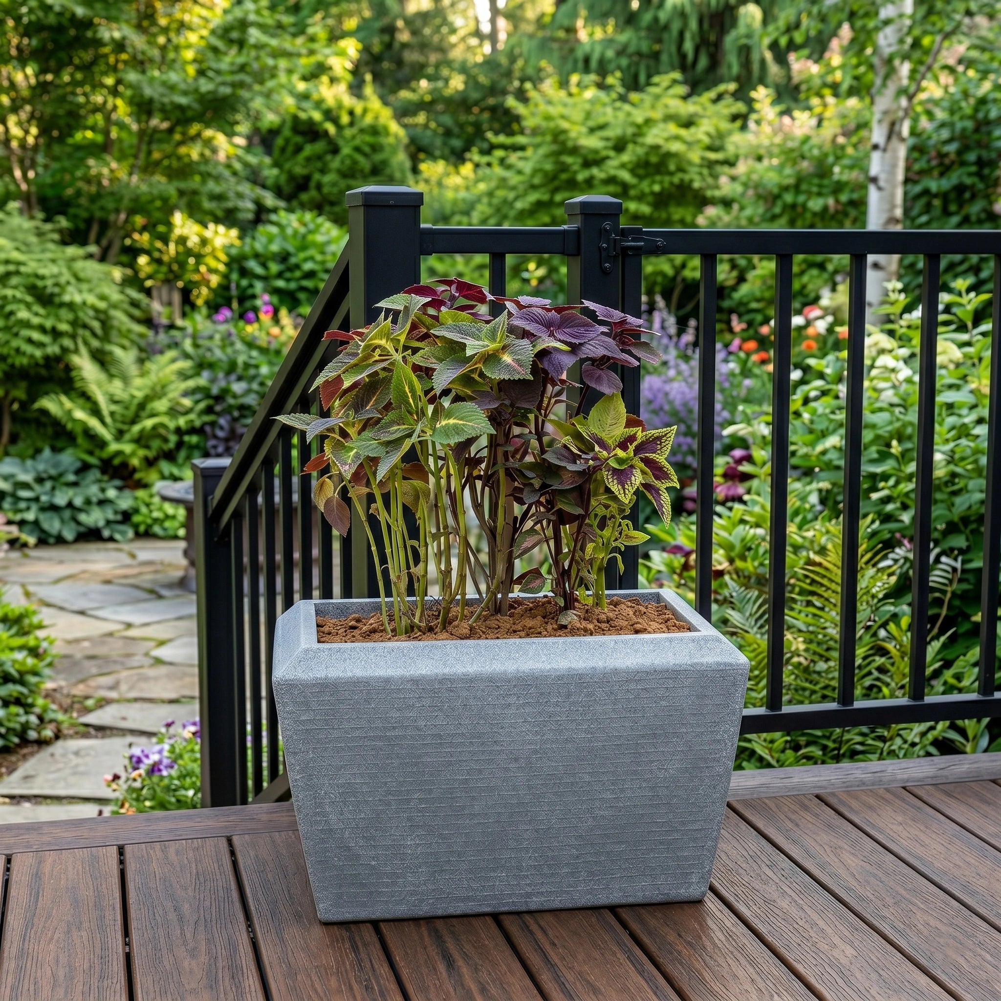 Opera – Blume Planters